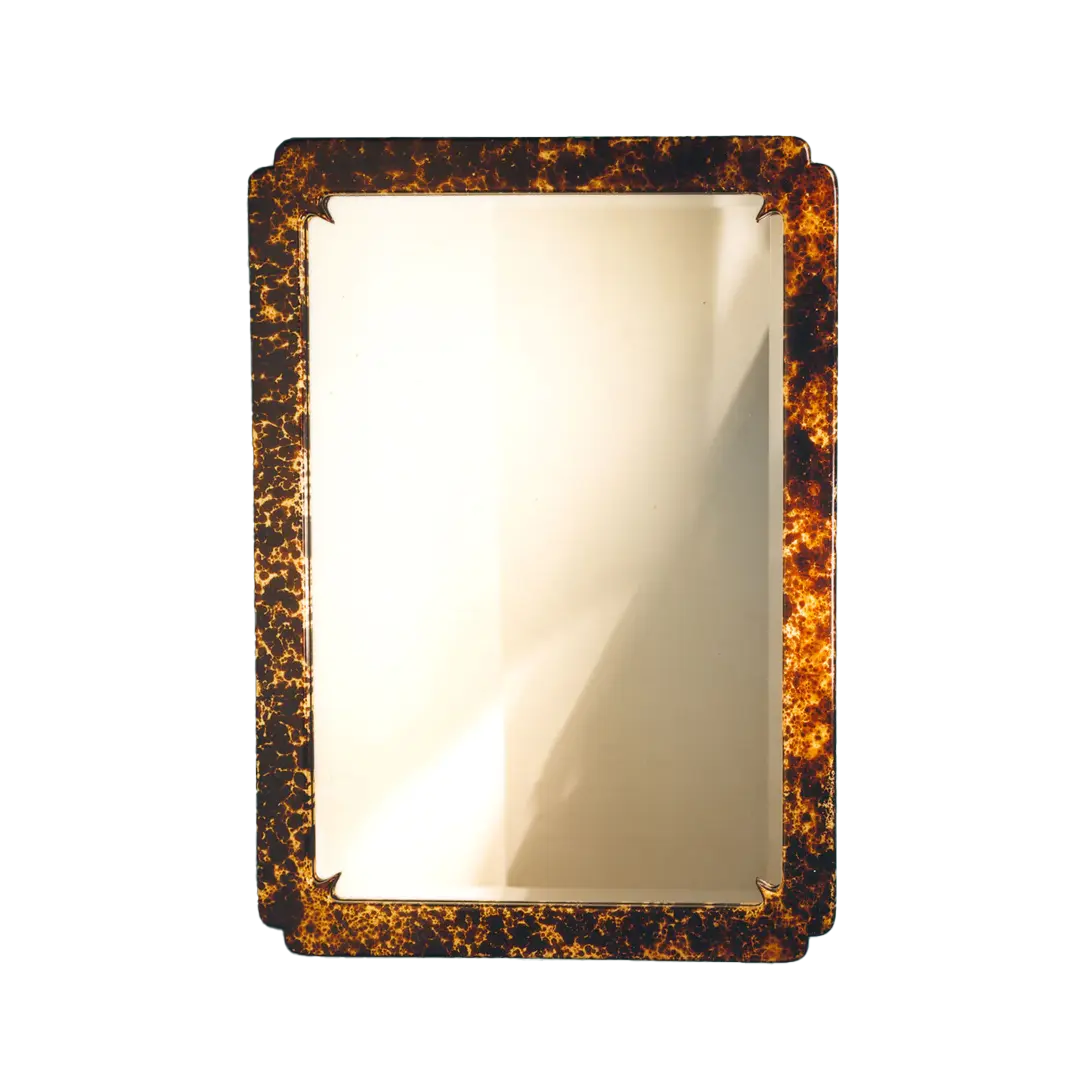 Tortoise shell mirror store